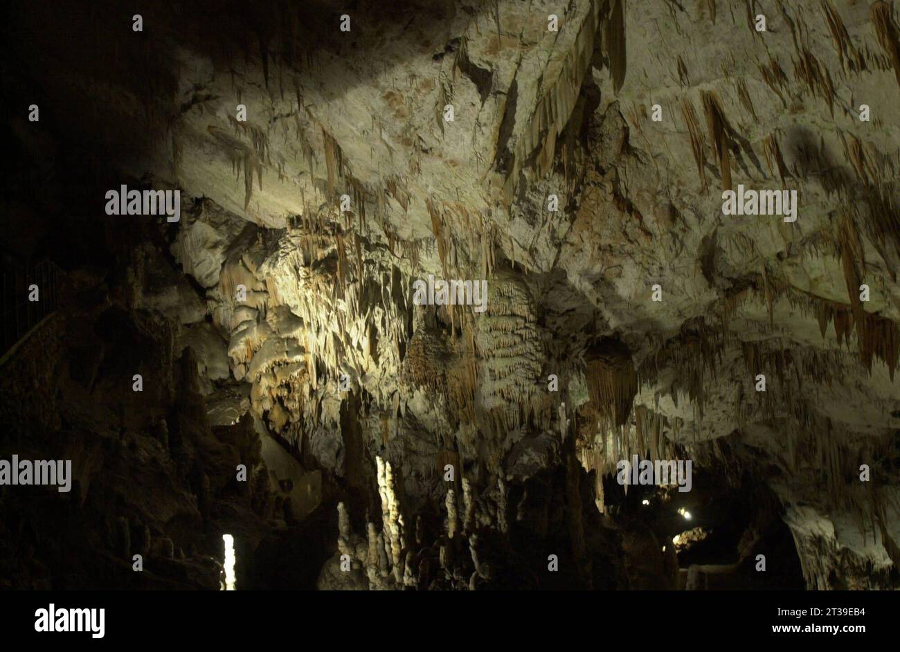 caves always had a big part in mankind A cave is a cavity within the ...