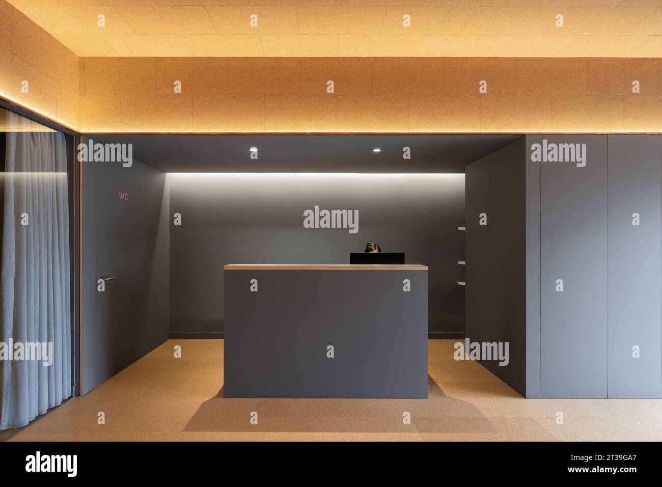 Unrecognizable person working at sophisticated reception area of a ...