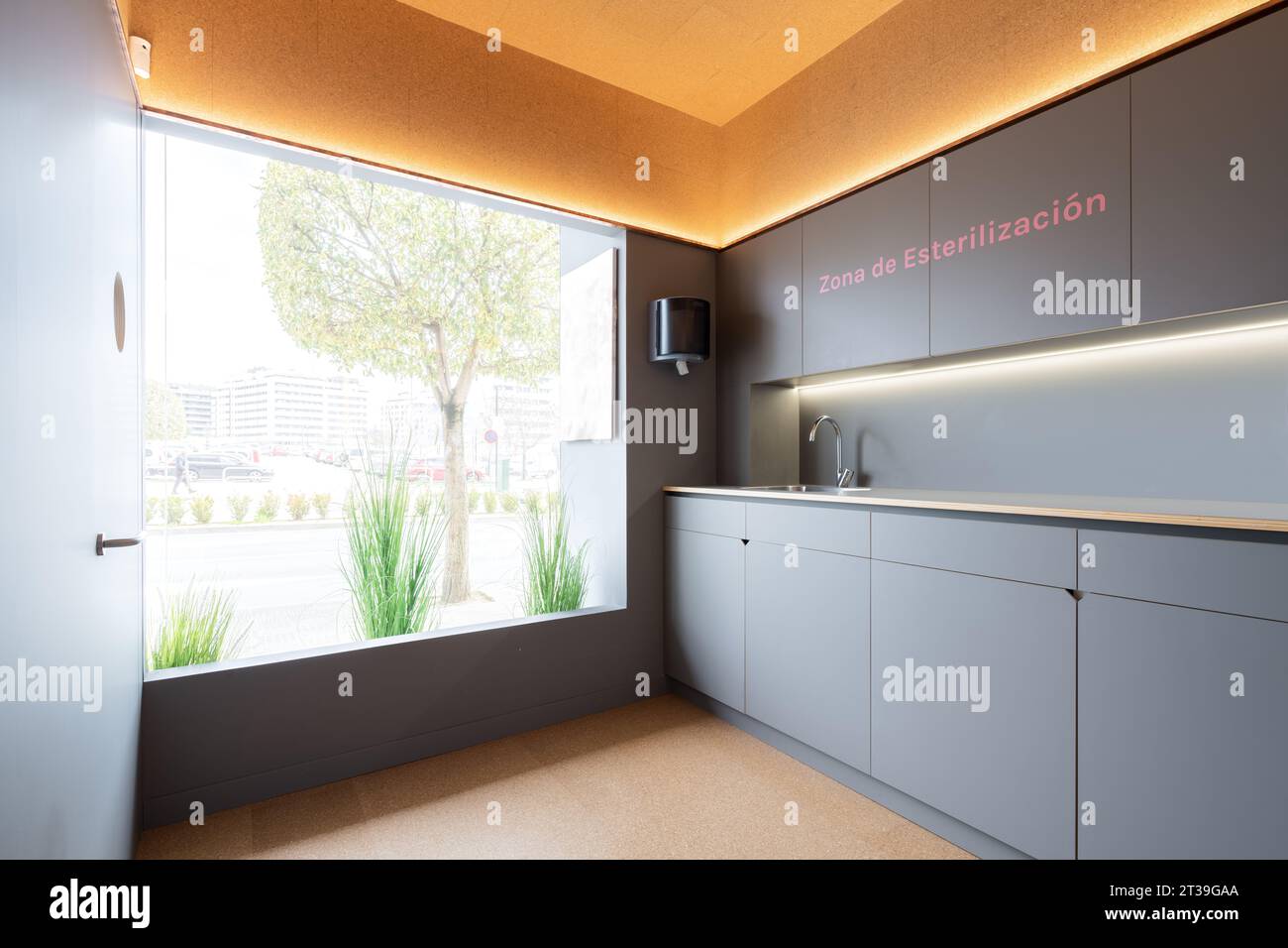 Bright interior of a dental clinic's sterilization area featuring a ...