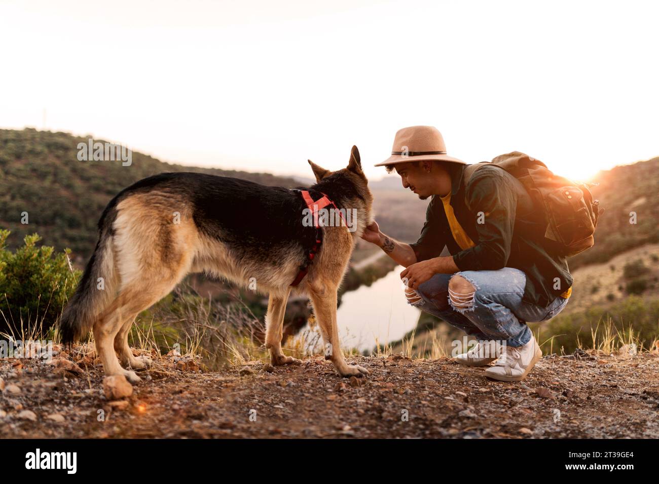 Side view of friendly German Shepherd dog with man sitting in nature on ...