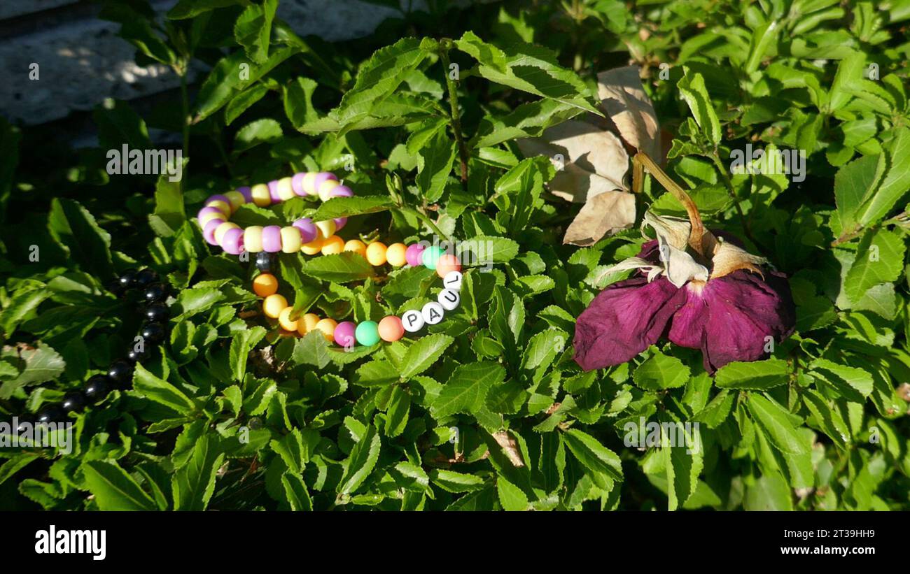 Los Angeles, California, USA 20th October 2023 Actor Paul Walker Grave ...