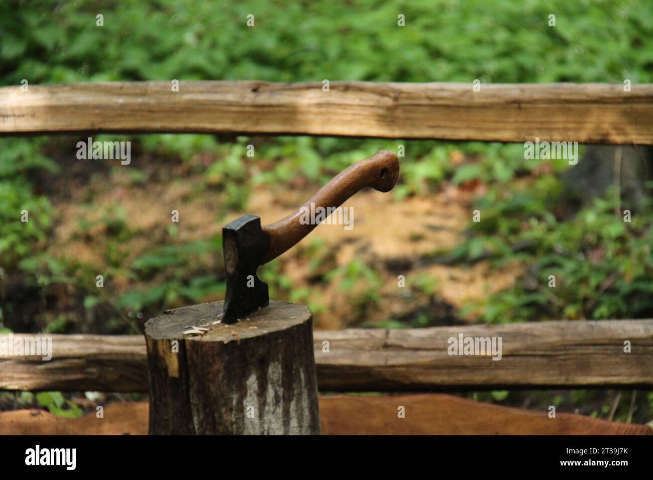 Hand axe hi-res stock photography and images - Alamy