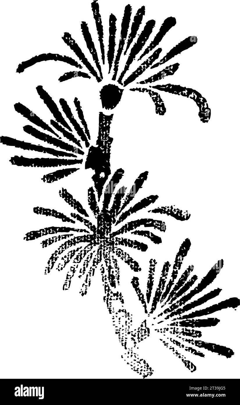 Larch elements for design isolated on white. Larix decidua branch. Hand ...