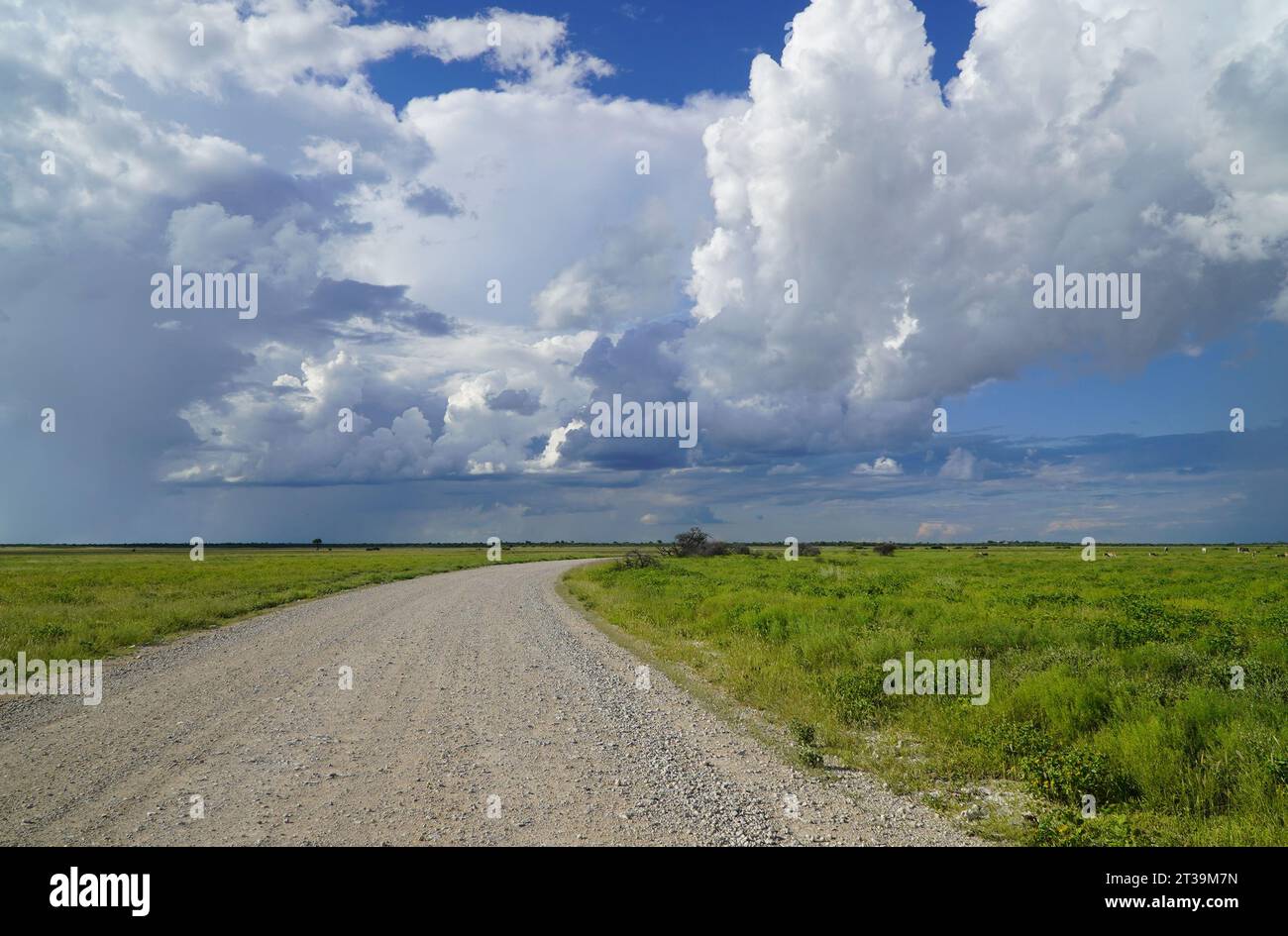 Open natural park hi-res stock photography and images - Alamy