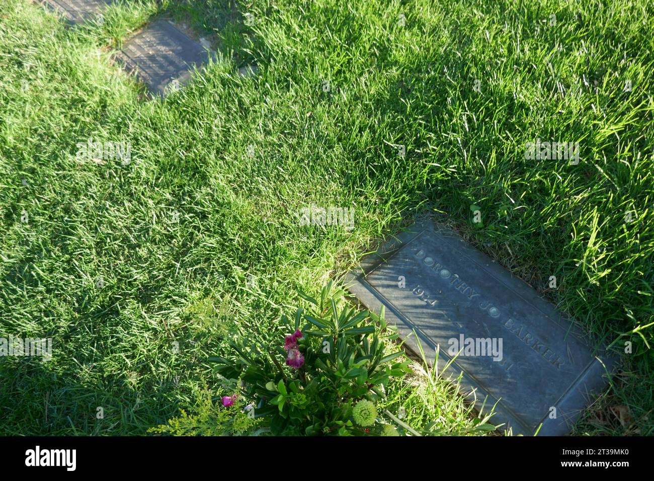 Bob barker grave hi-res stock photography and images - Alamy