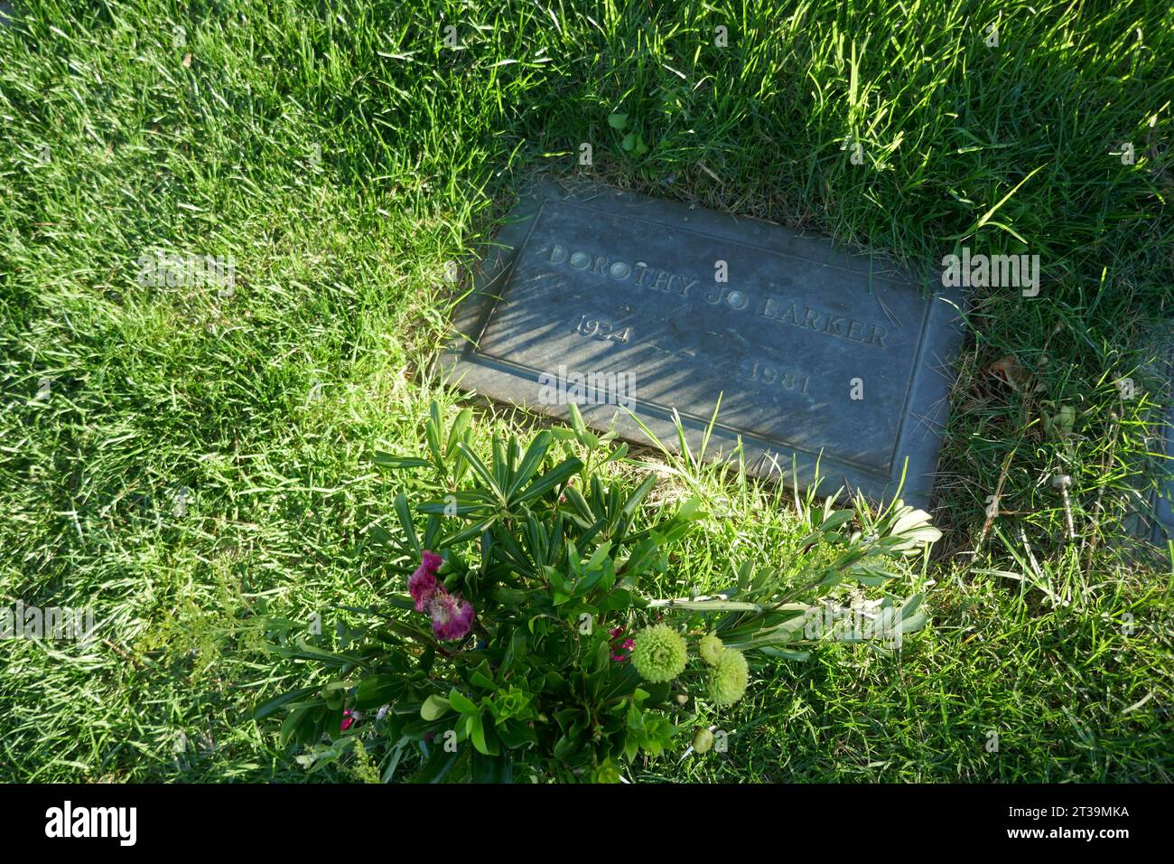 Bob barker grave hi-res stock photography and images - Alamy