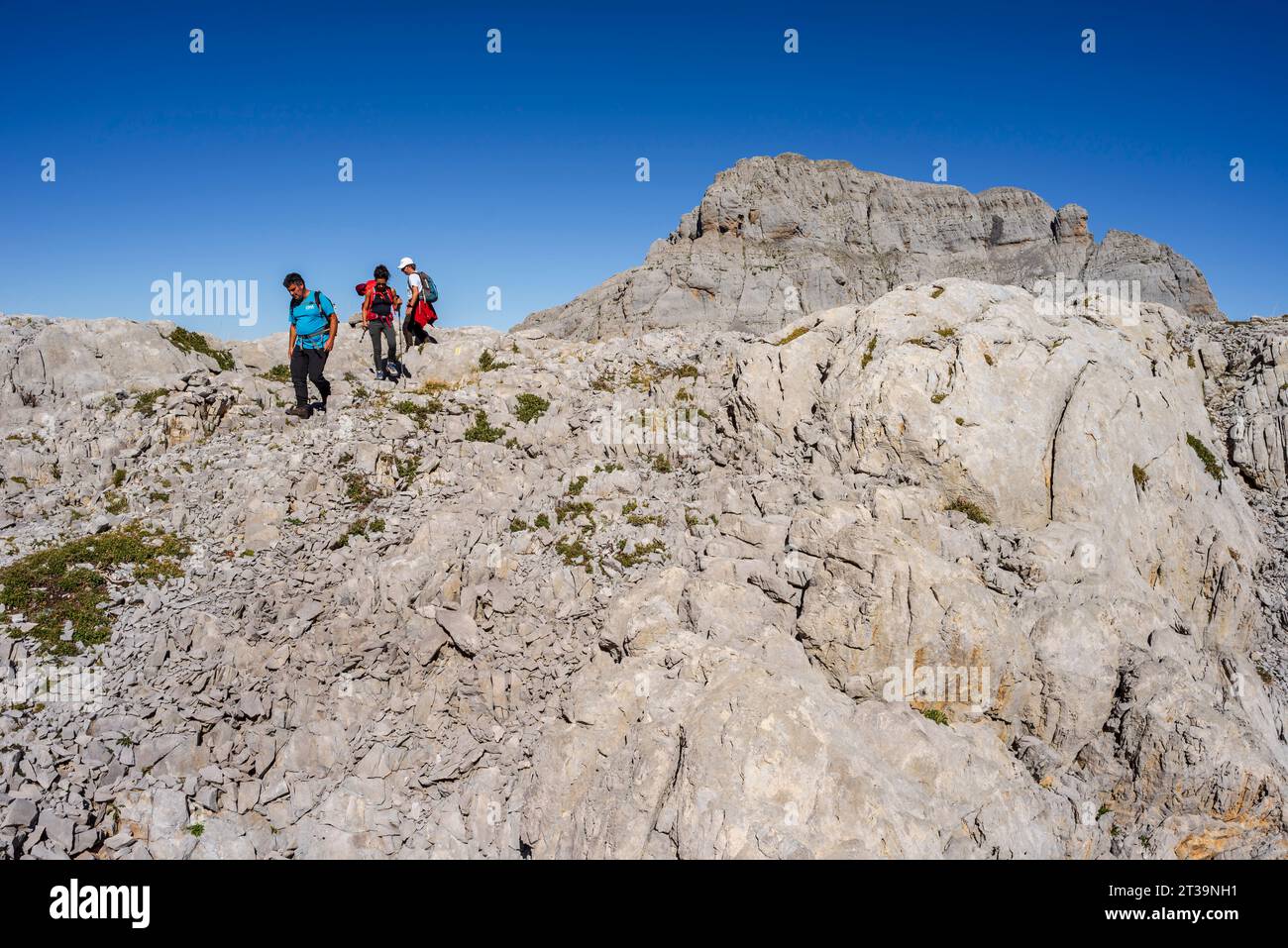 hiker advancing through the limestone relief of the Arres de Anie, Anie ...