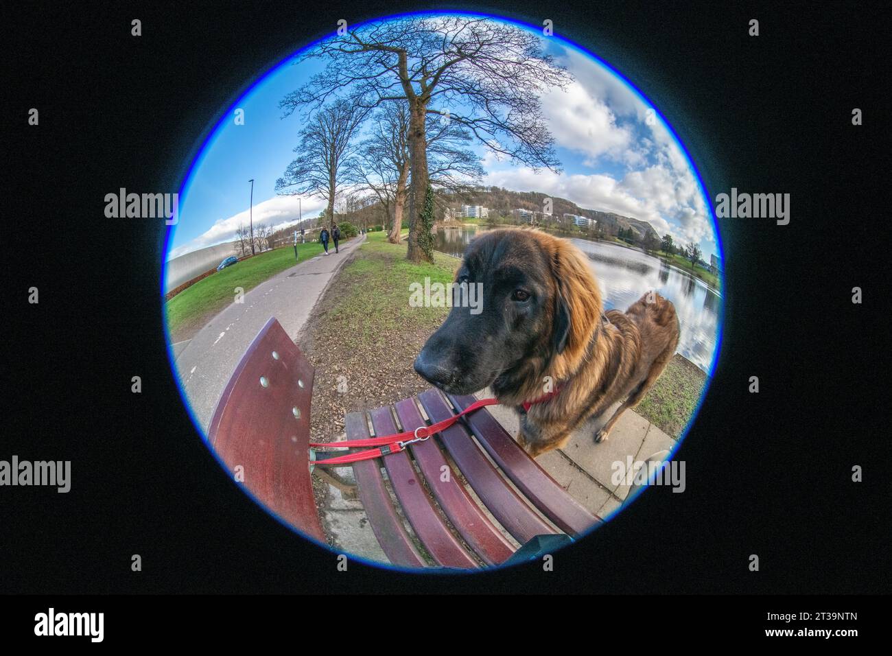 Phoebe and juana hi-res stock photography and images - Alamy