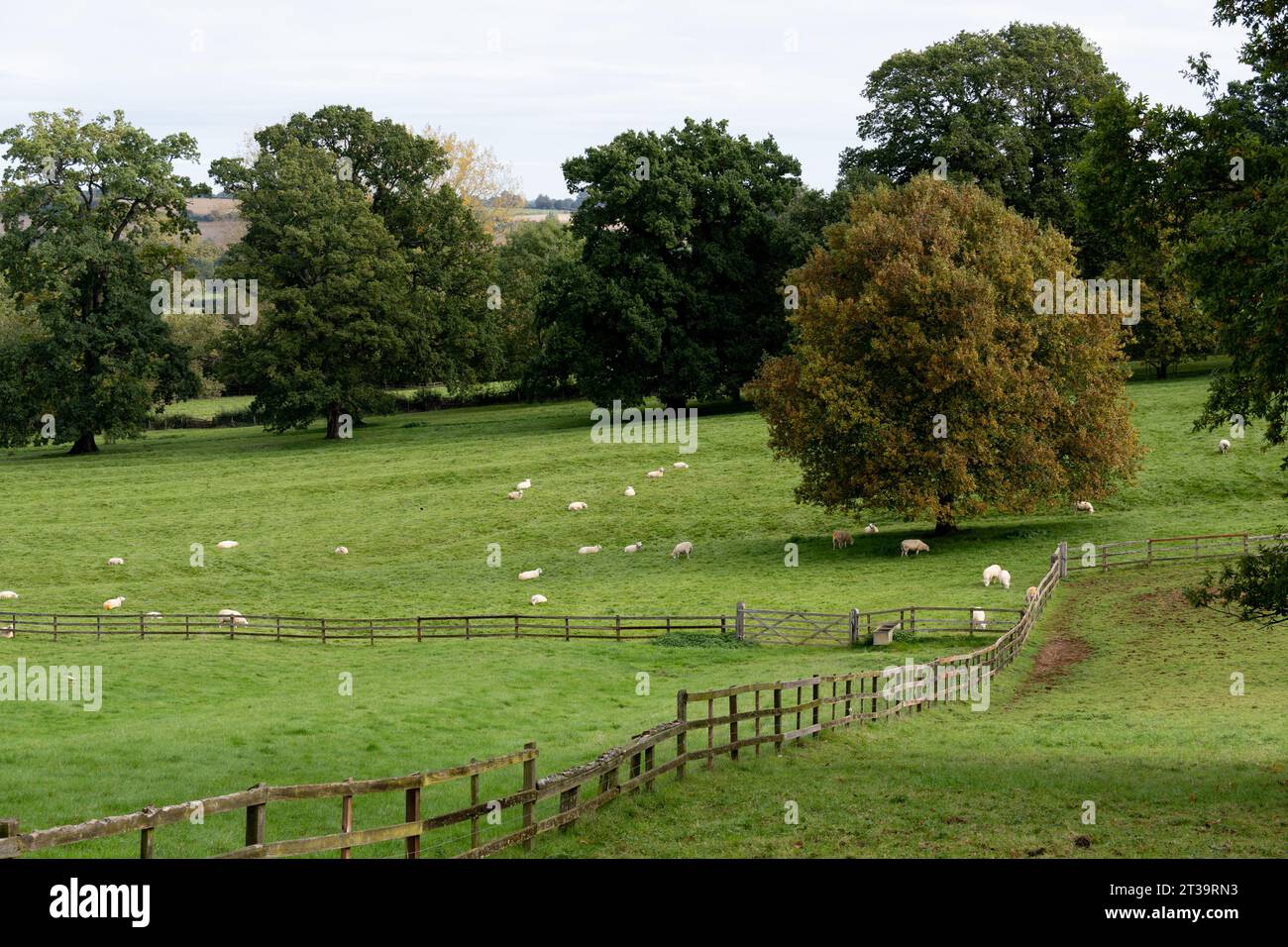 Oxfordshire countryside from Holy Trinity churchyard, Over Worton ...