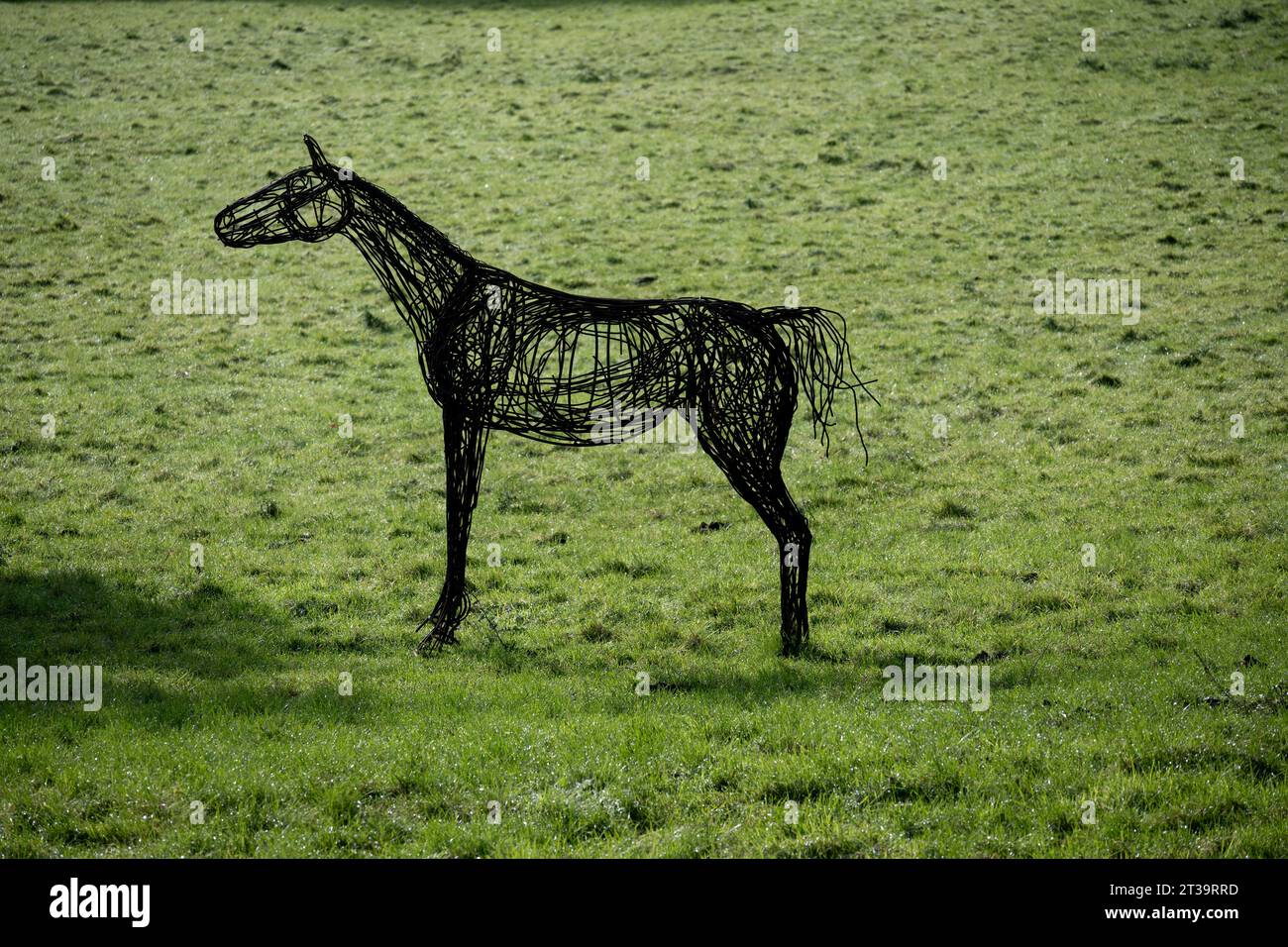 Outdoor outdoors sculpture in wire hi-res stock photography and images ...