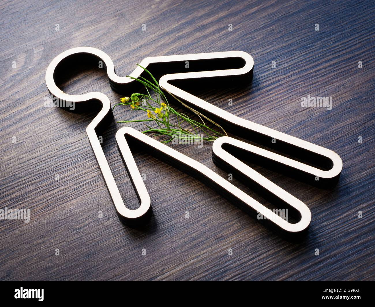 The outline of person and the plant inside as a symbol of vitality and ...