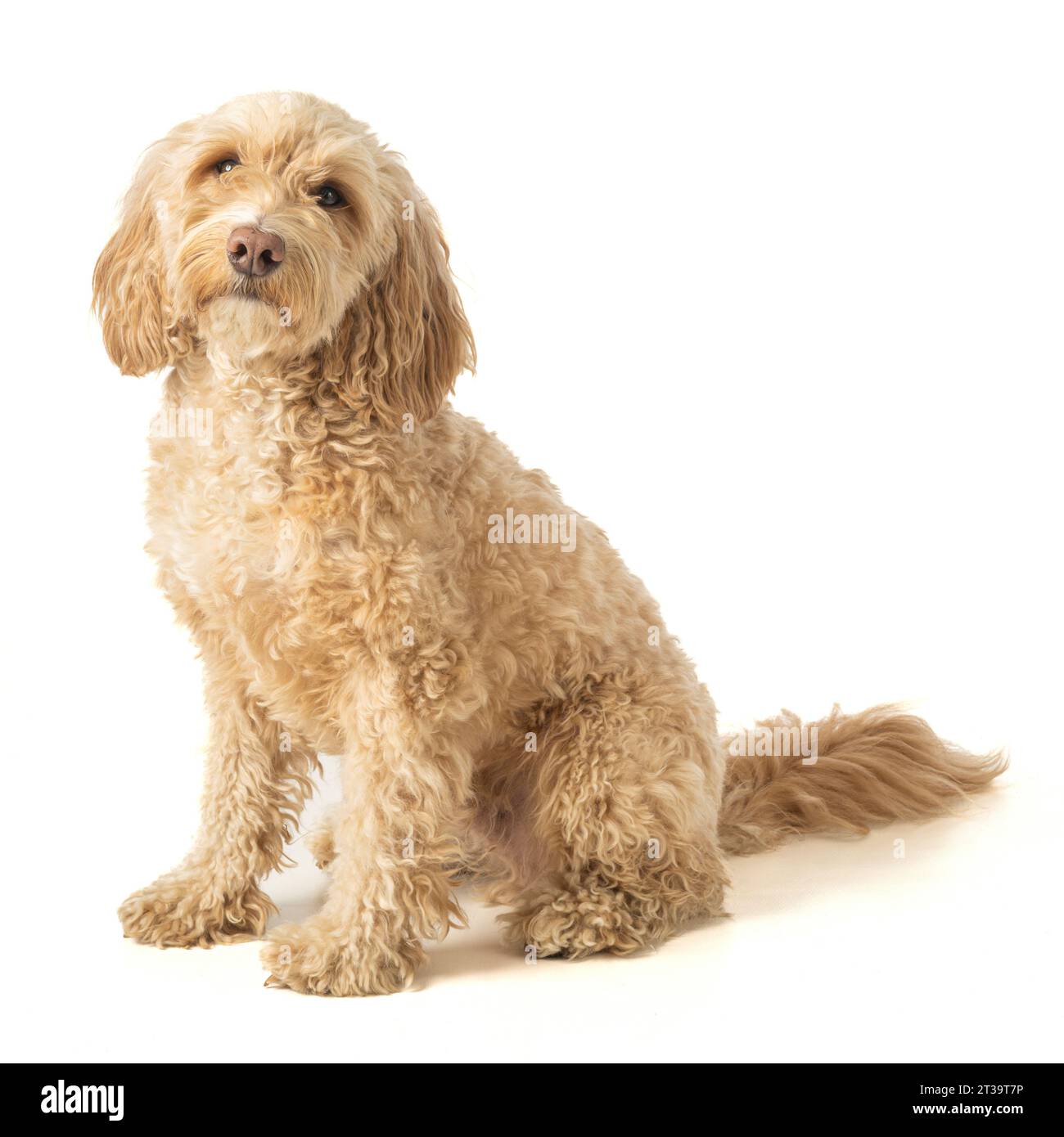Sideways facing hi-res stock photography and images - Alamy