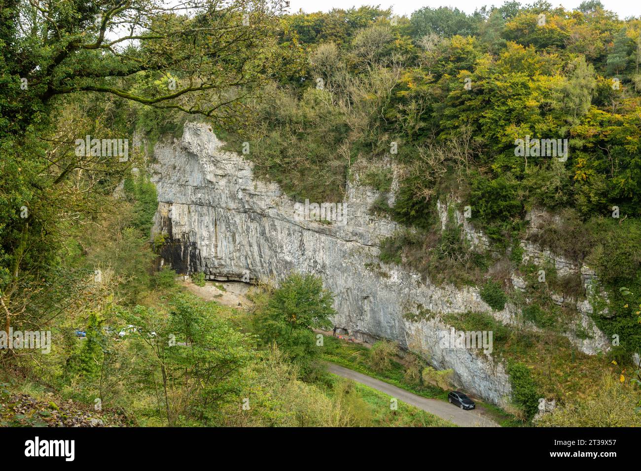 A limestone cliff face used for sport climbing seen from the Monsal ...