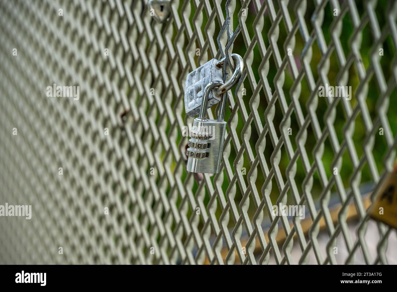 Padlocks on metal tree hi-res stock photography and images - Alamy