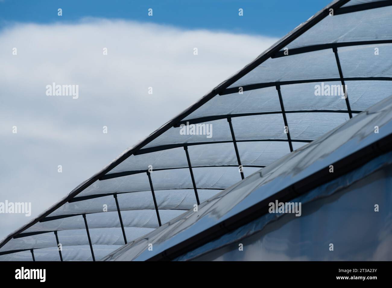 Air vents of a large green house Stock Photo - Alamy