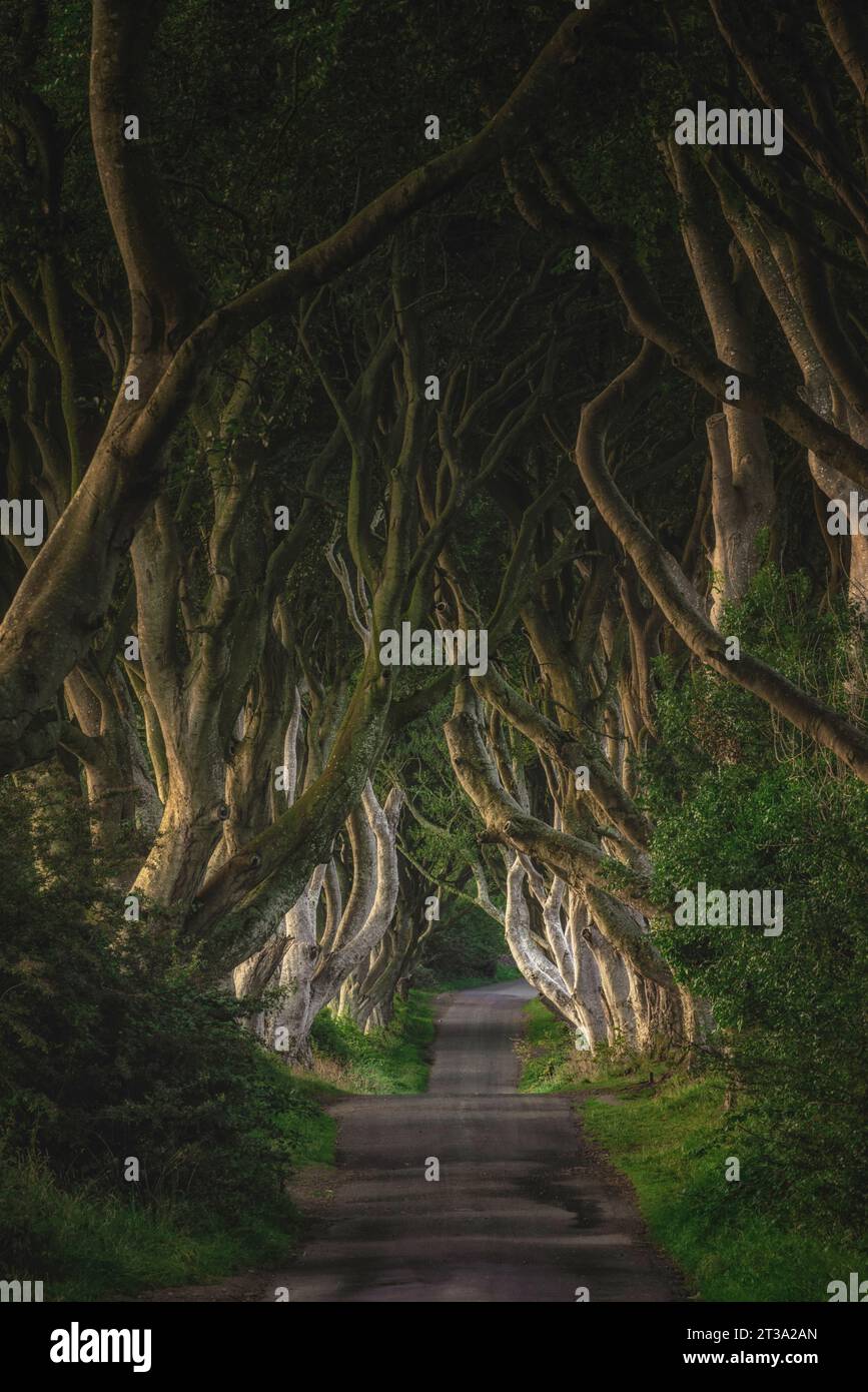 Ballymoney, county antrim hi-res stock photography and images - Alamy