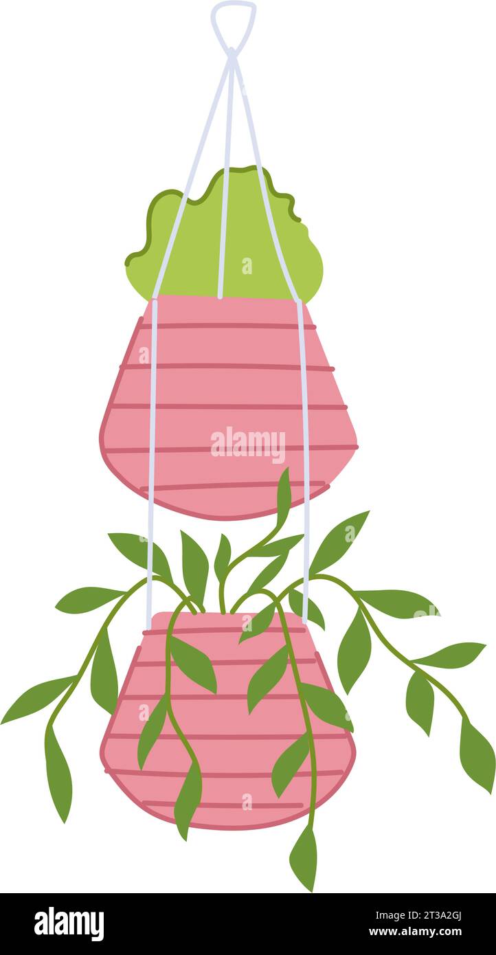 natural hanging planter cartoon vector illustration Stock Vector Image ...