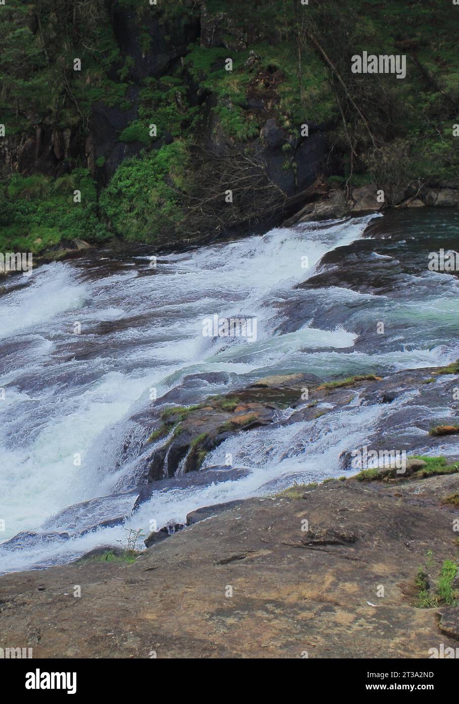 beautiful pykara waterfall or rapids, surrounded by lush green forest ...