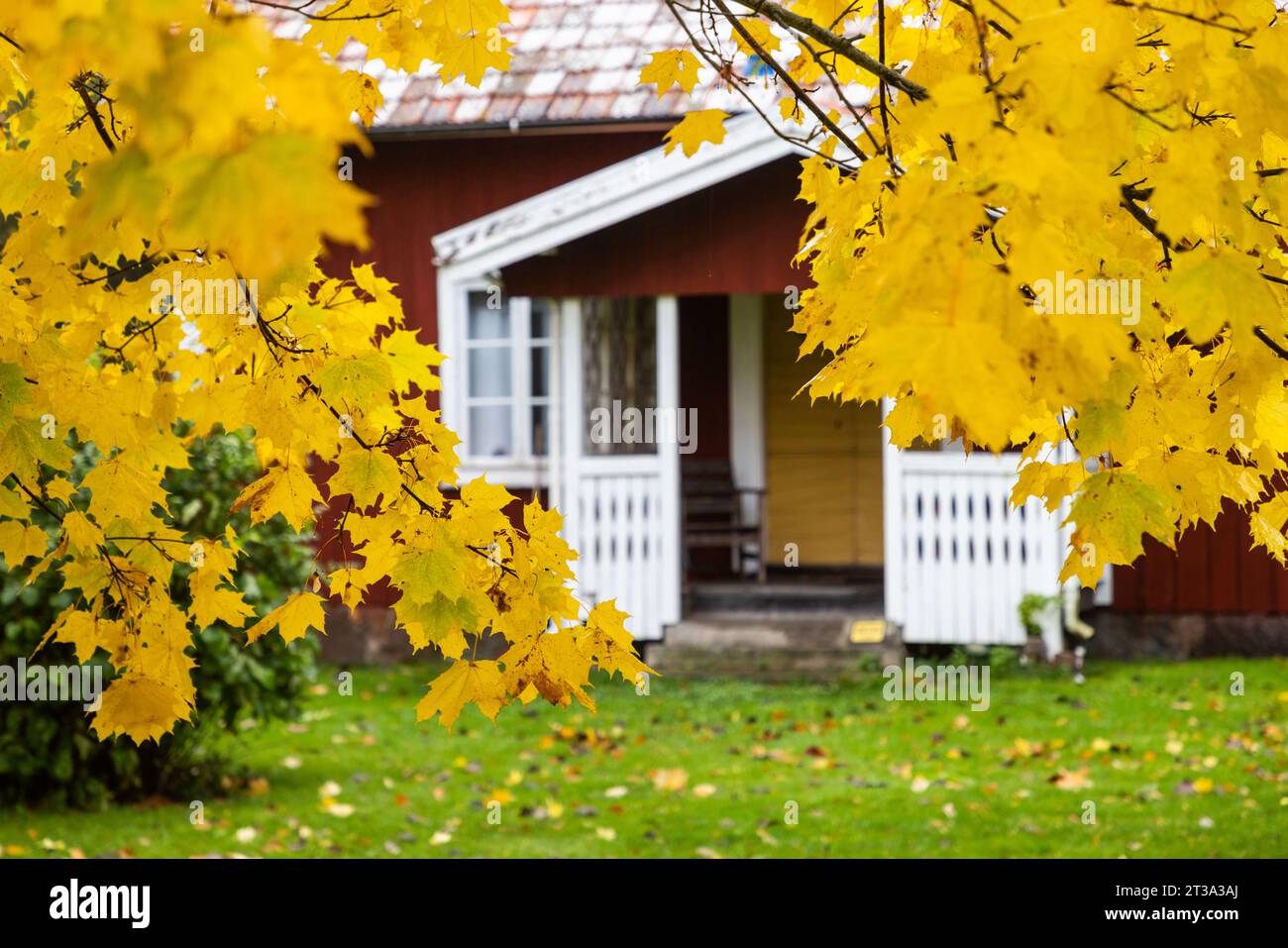 Väversunda, Sweden. 23rd, October, 2023. Seasonal weather, autumn ...