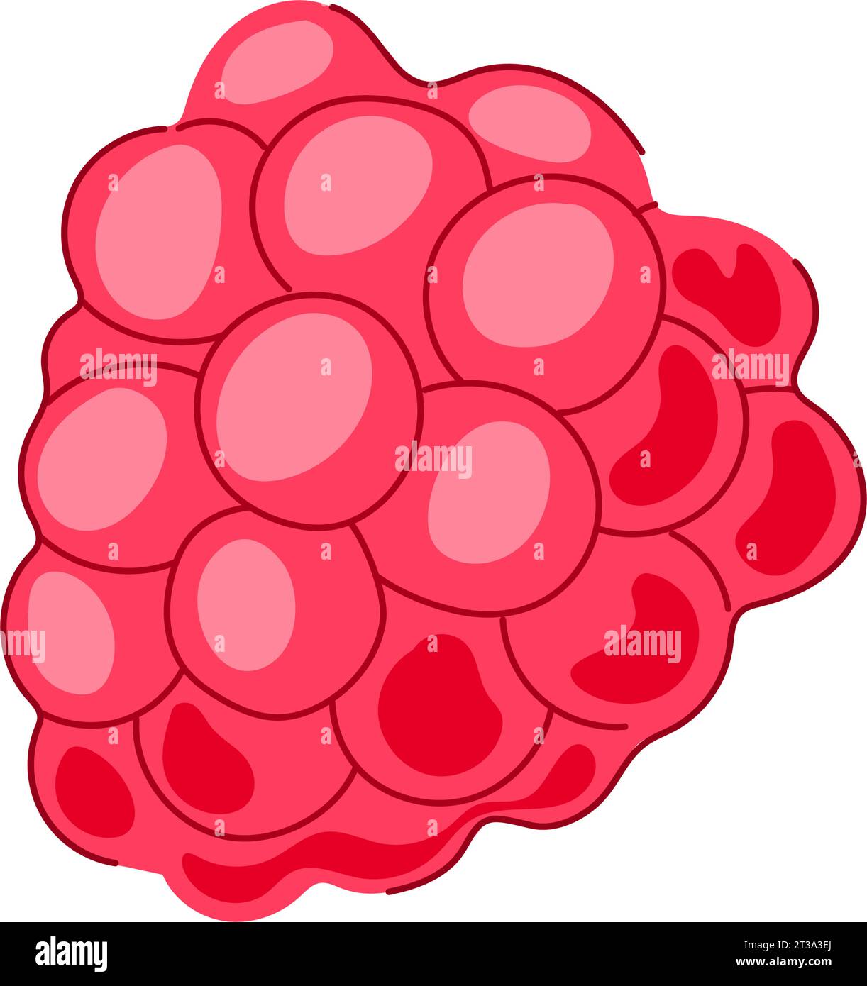 plate jelly cartoon vector illustration Stock Vector Image & Art - Alamy