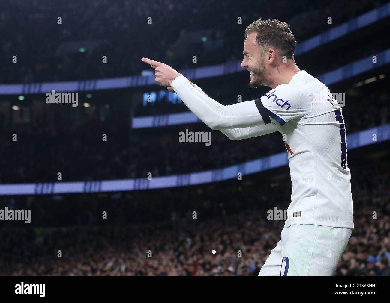GOAL 2-0, James Maddison of Tottenham Hotspur goal celebration. - Tottenham Hotspur v Fulham ...