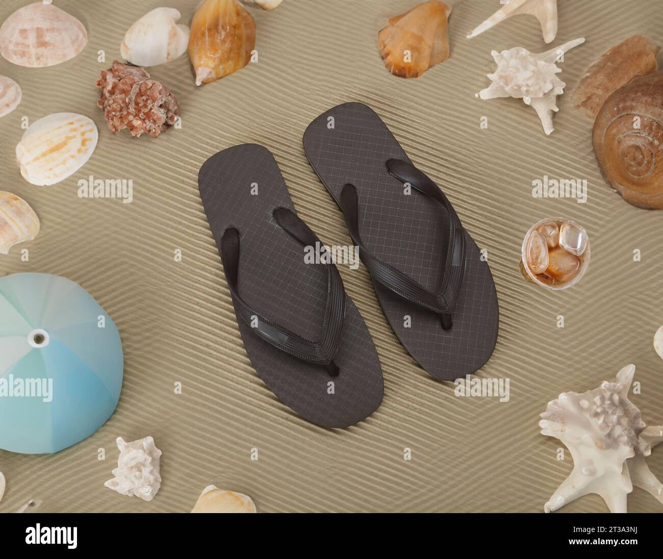 Flip flop shell hi-res stock photography and images - Alamy
