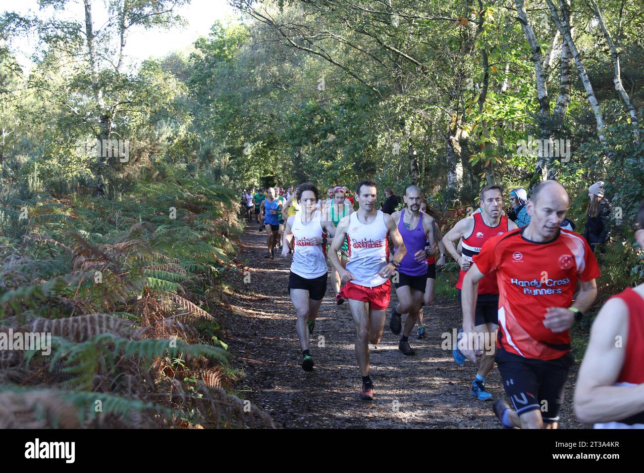 Large group of runners taking part in a cross country race in Surrey ...