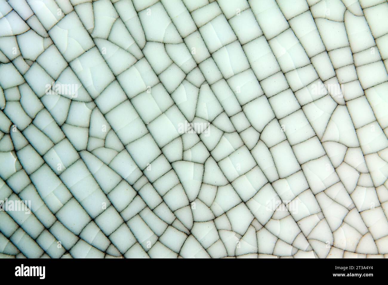 elegant closeup pictures, porcelain texture in a China's traditional ...