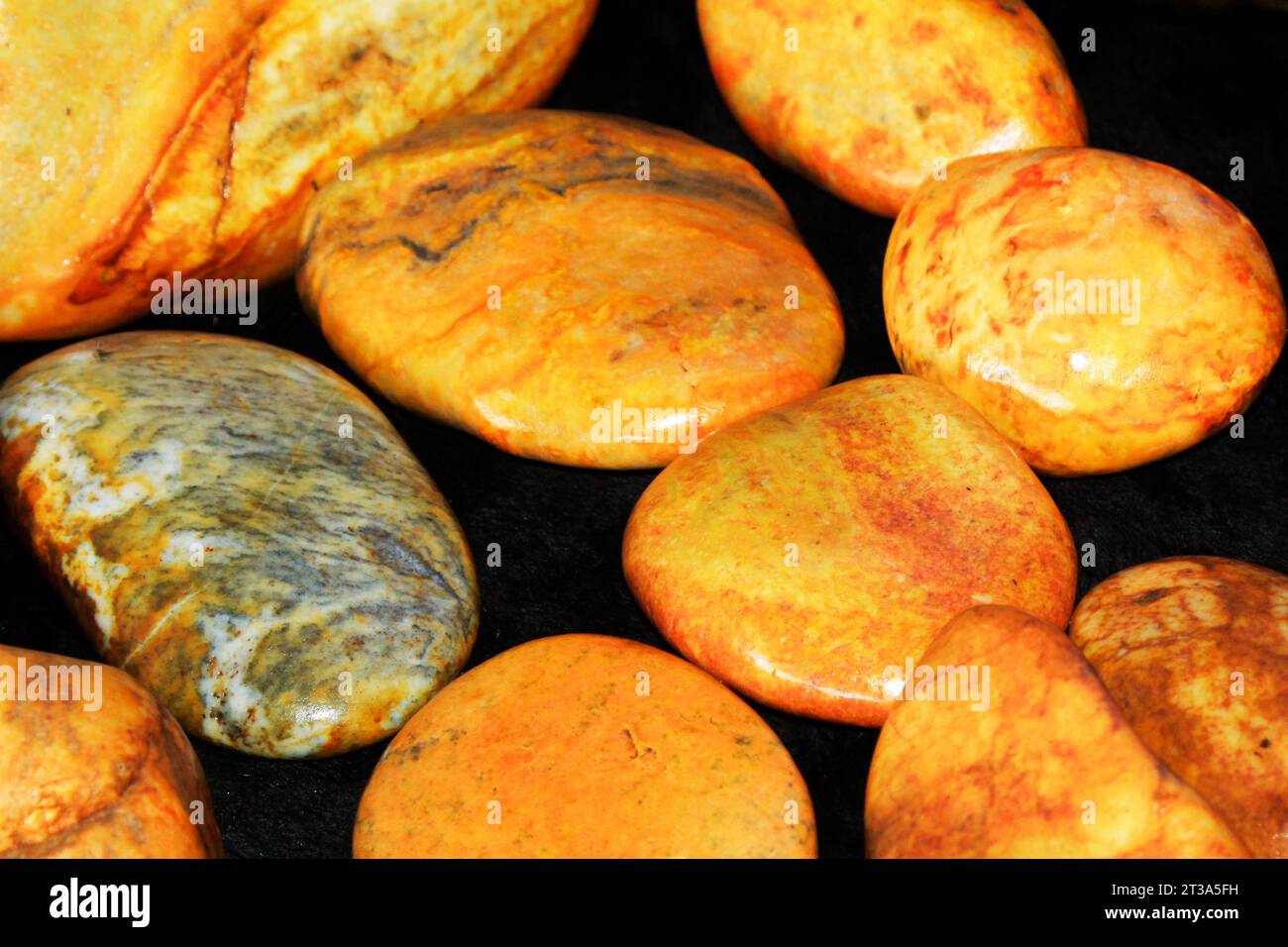 Seed makings hi-res stock photography and images - Alamy