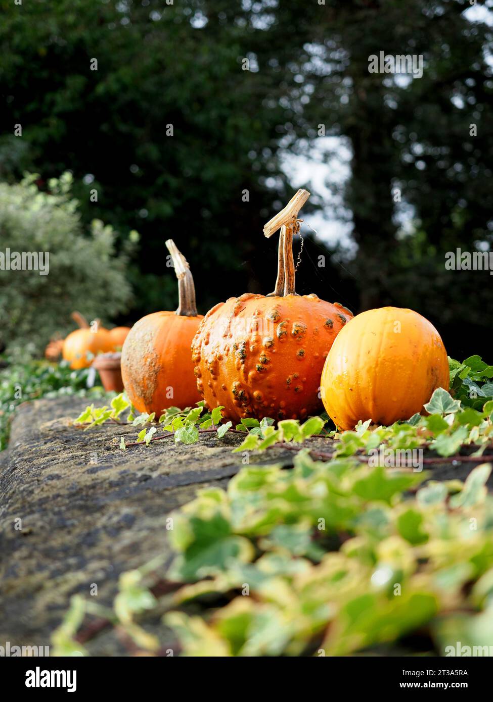 Canons ashby northamptonshire england hi-res stock photography and ...