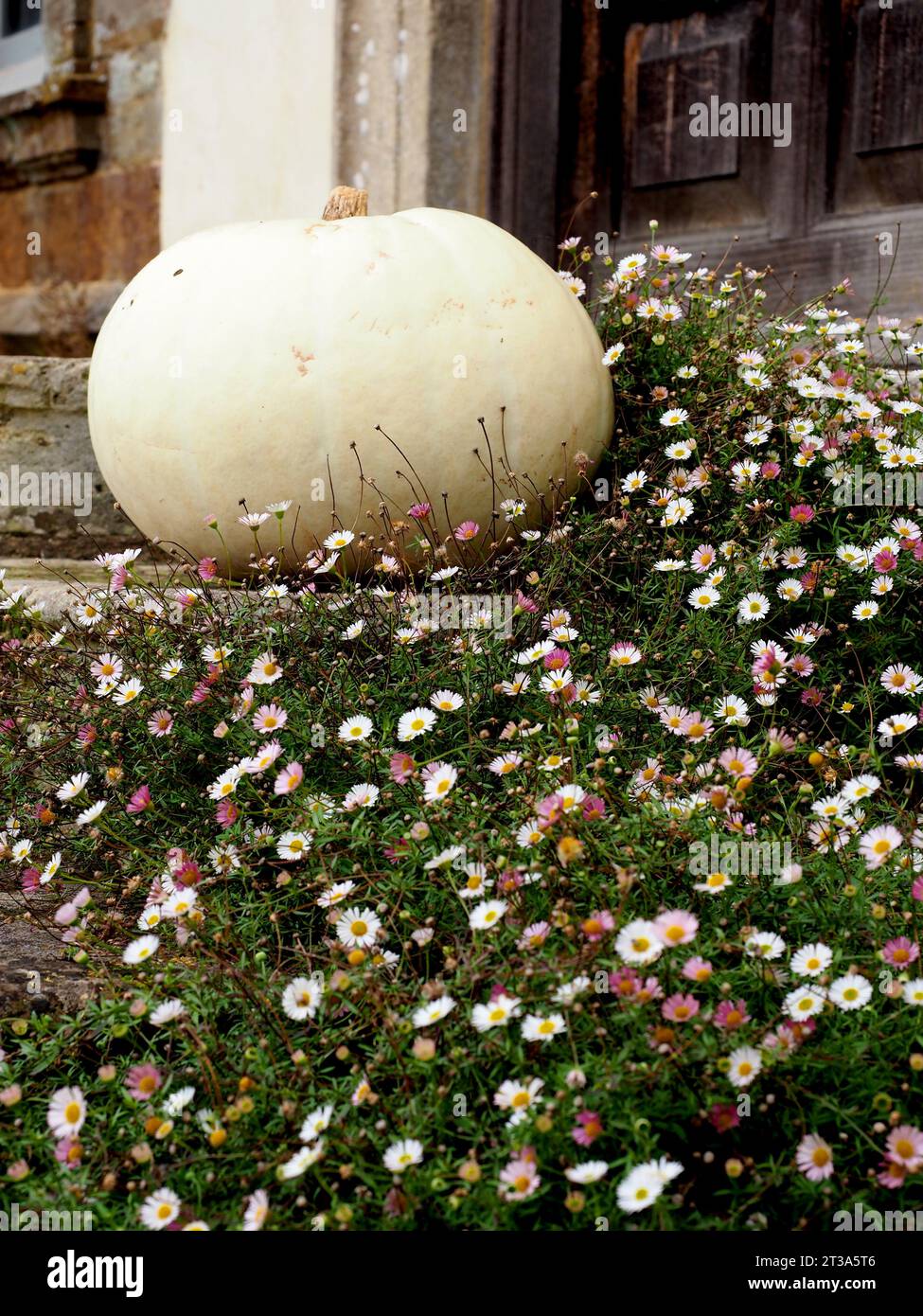 Canons ashby northamptonshire england hi-res stock photography and ...