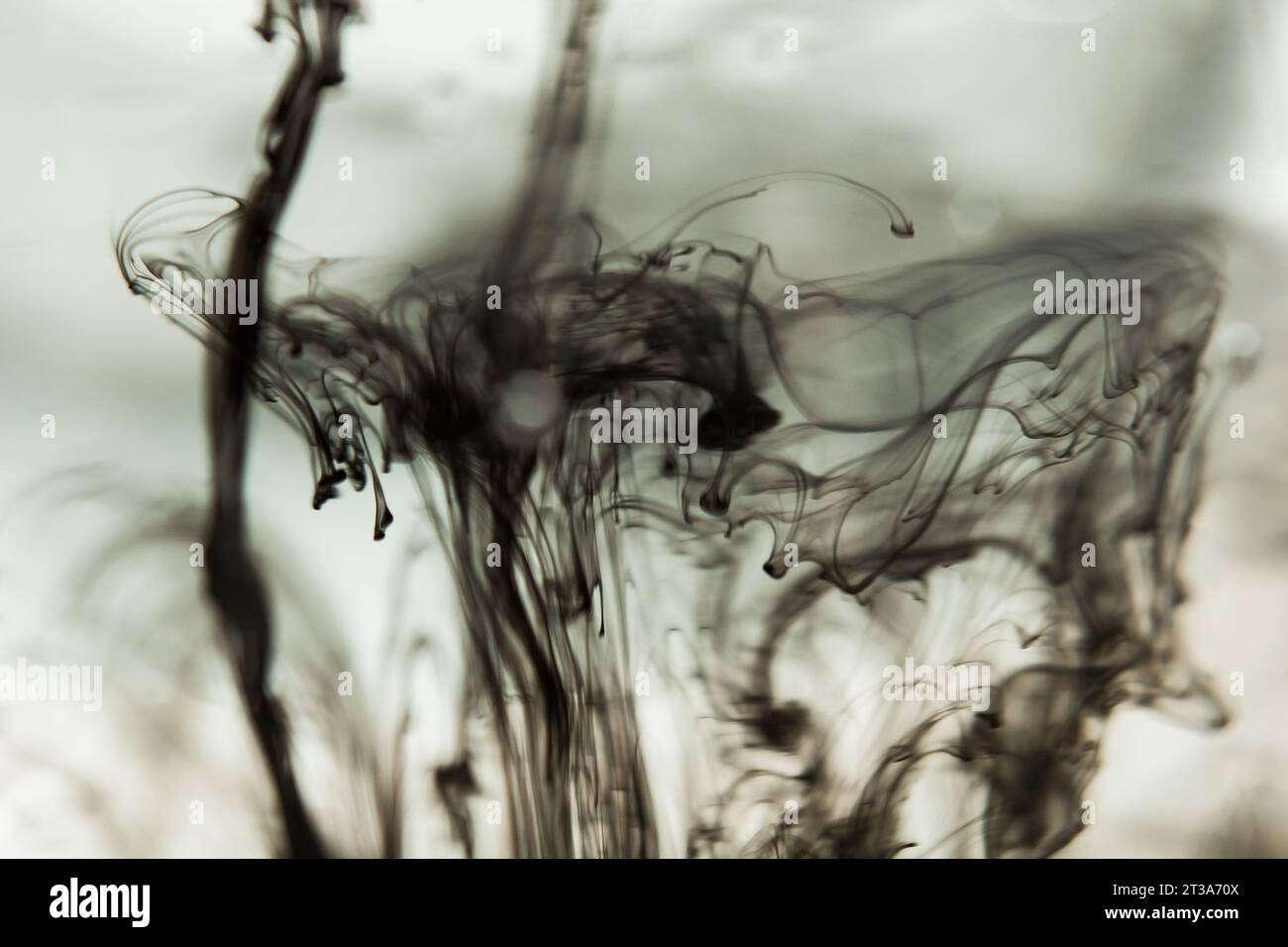 a cloud of ink in a transparent glass cup with clear water amid rays of ...
