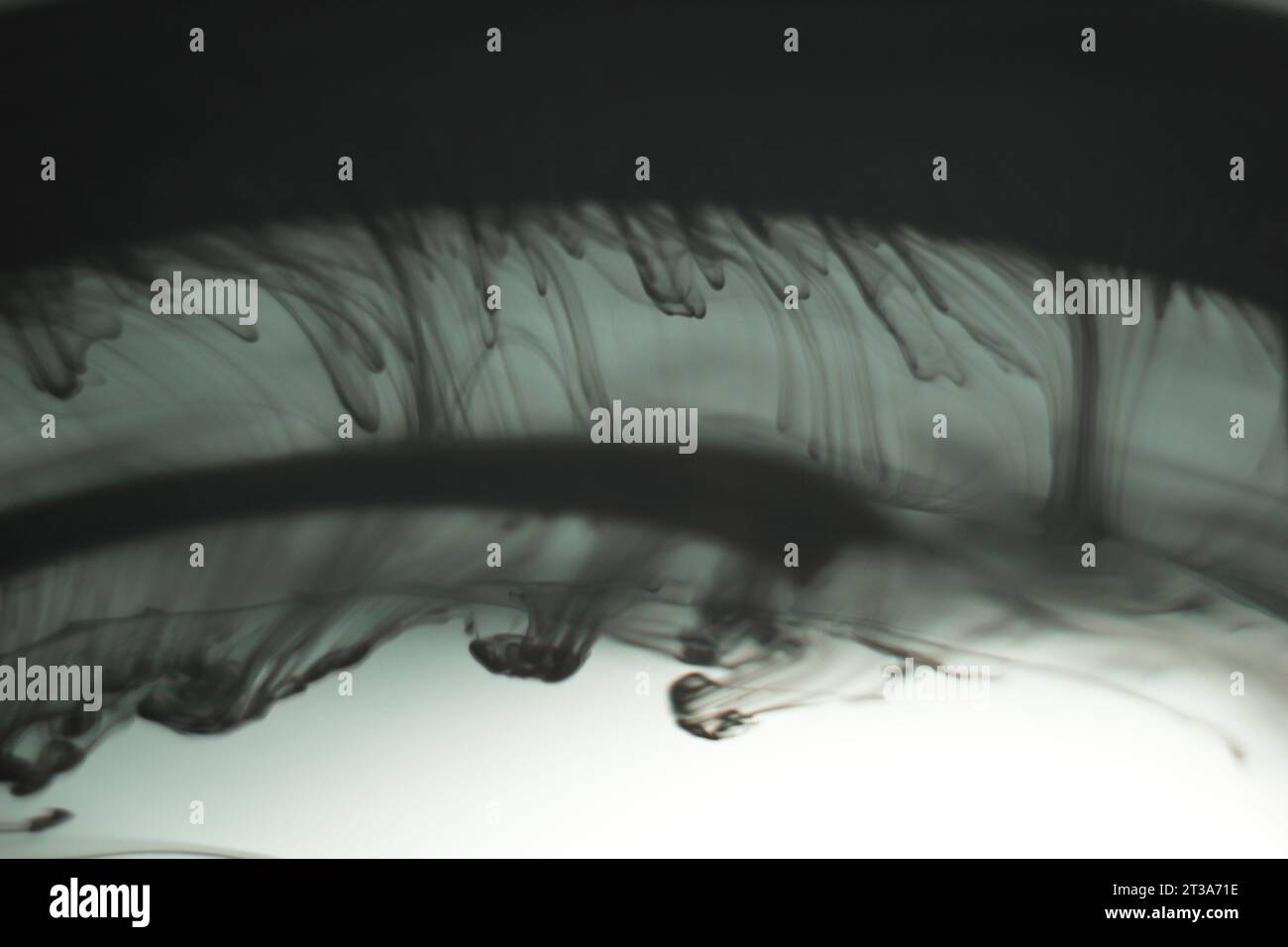 a cloud of ink in a transparent glass cup with clear water amid rays of ...