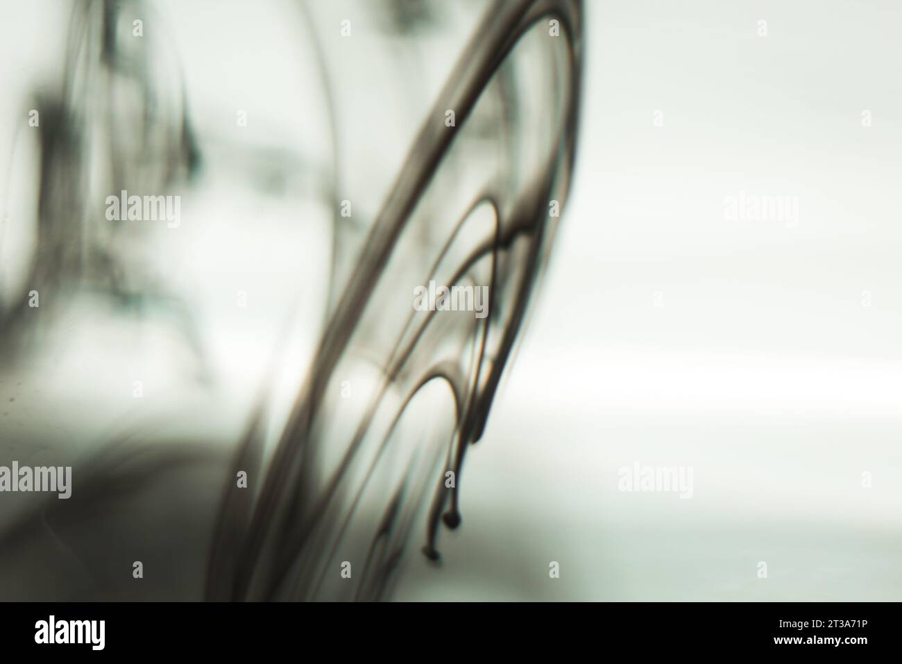 a cloud of ink in a transparent glass cup with clear water amid rays of ...