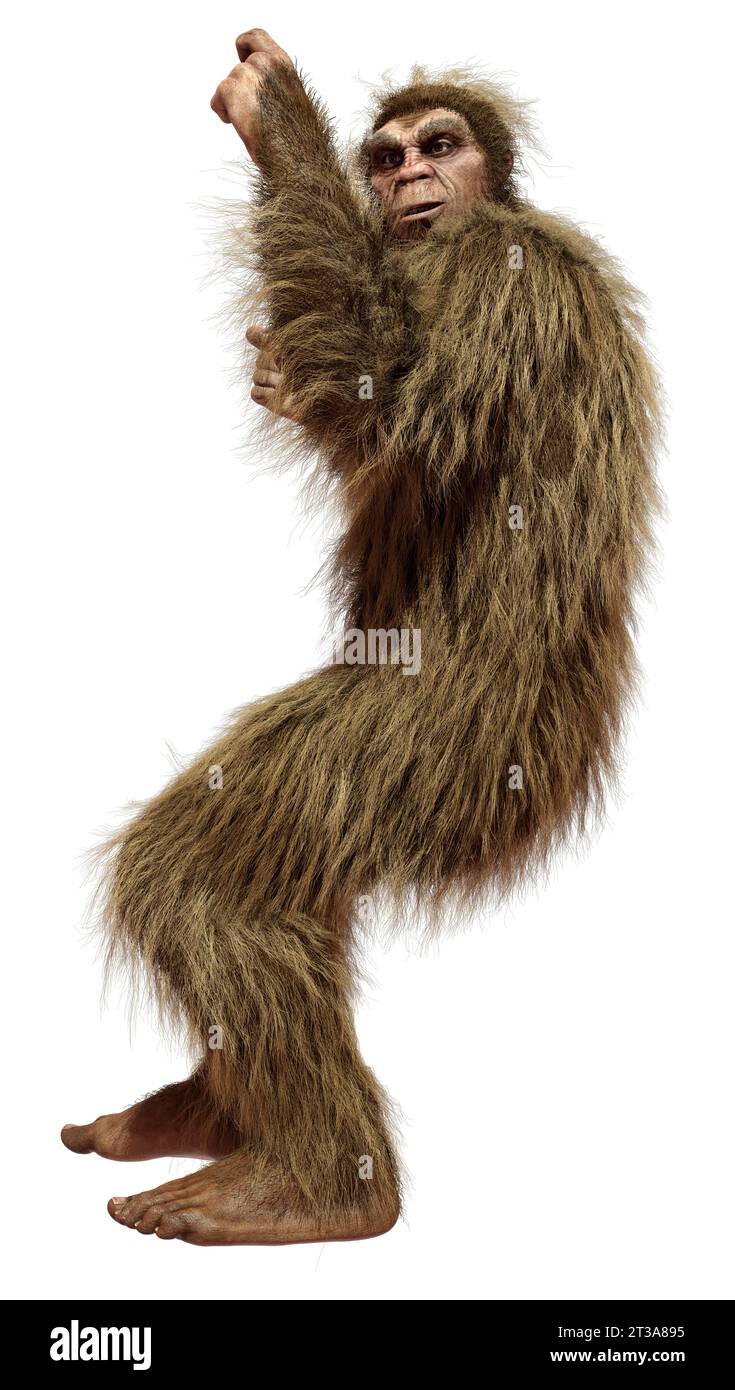 3D rendering of a Sasquatch or Bigfoot isolated on white background ...