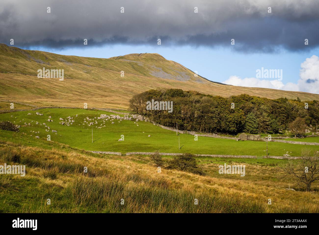 Whernside is a mountain in the Yorkshire Dales in Northern England. It ...