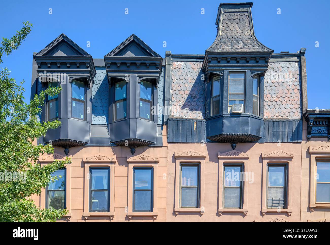Blue Mansard Roof Houses