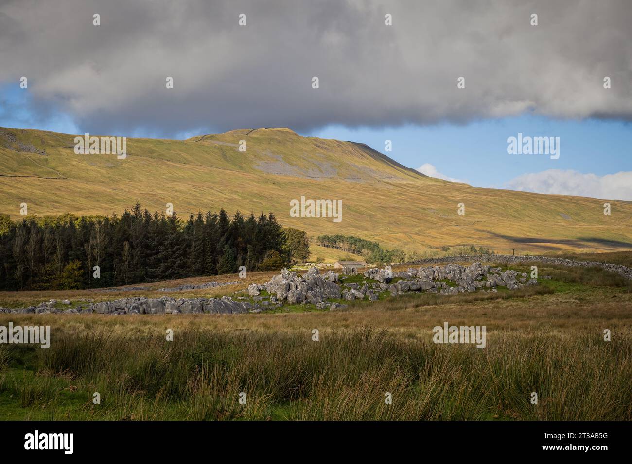 Whernside is a mountain in the Yorkshire Dales in Northern England. It ...