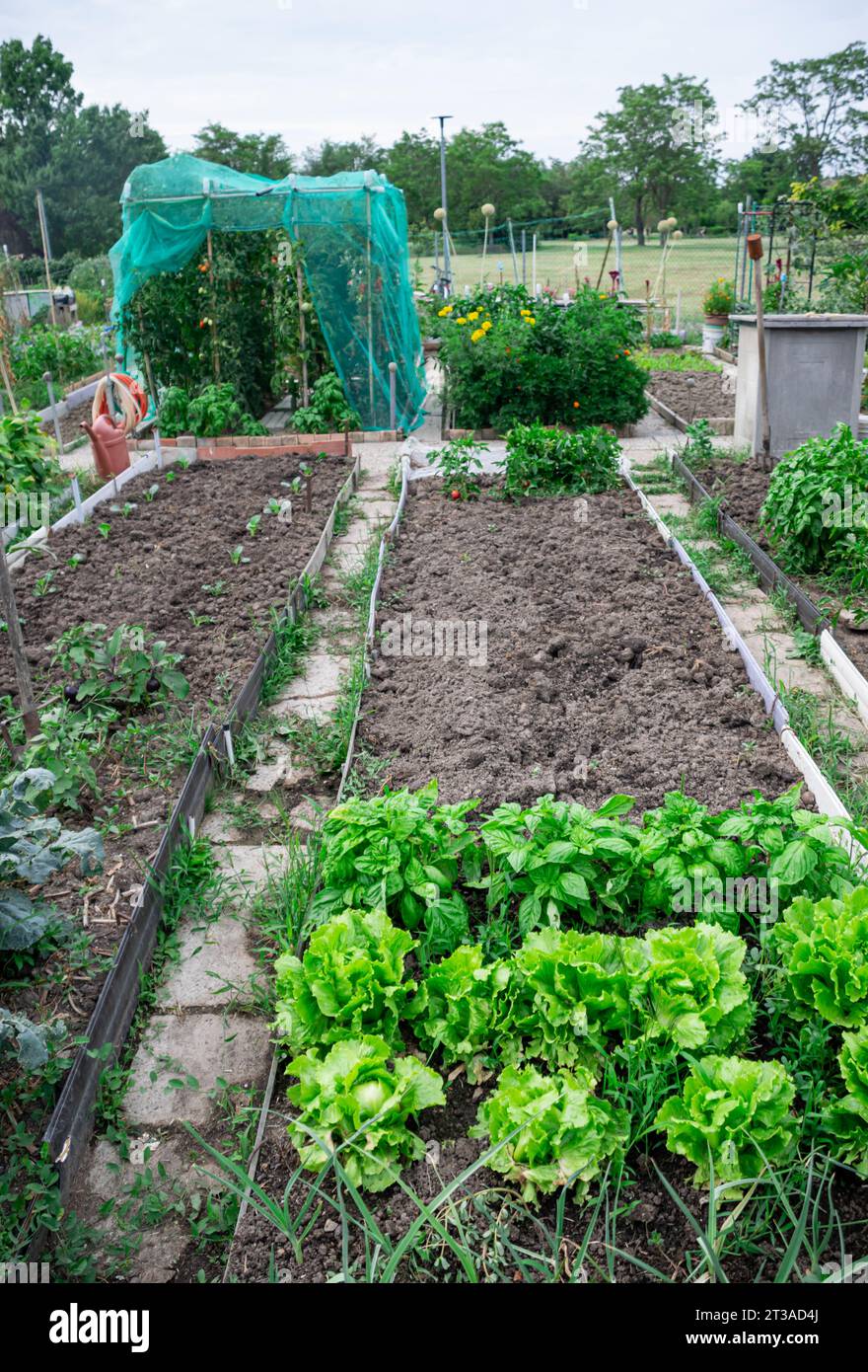 Ecological orchard hi-res stock photography and images - Alamy