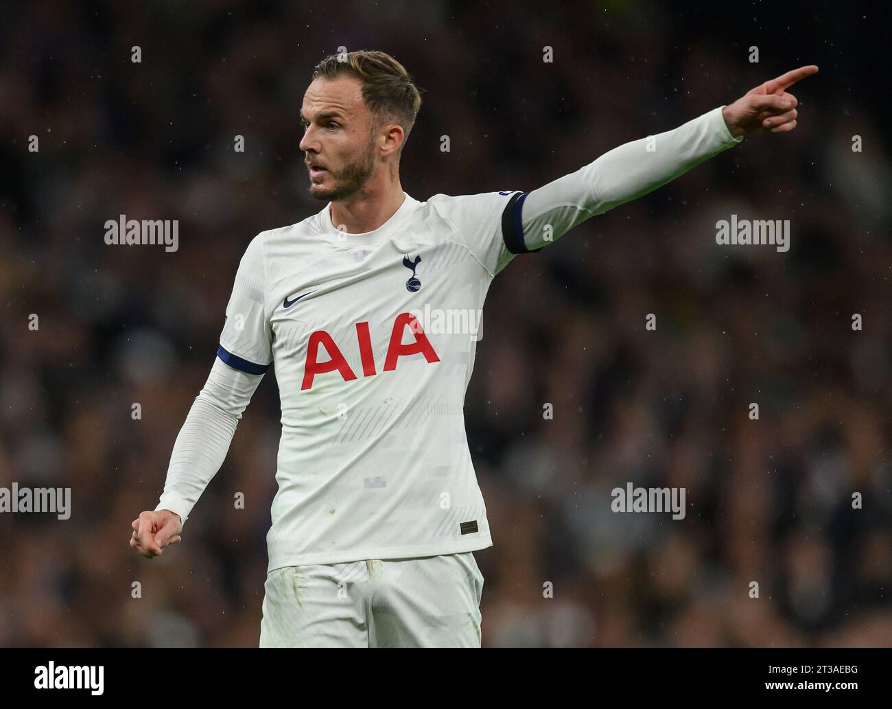 James maddison uk hi-res stock photography and images - Alamy
