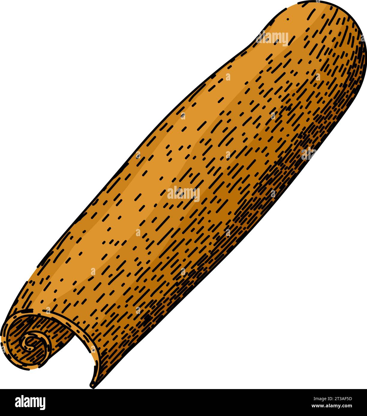 aromatic cinnamon sketch hand drawn vector Stock Vector Image & Art - Alamy