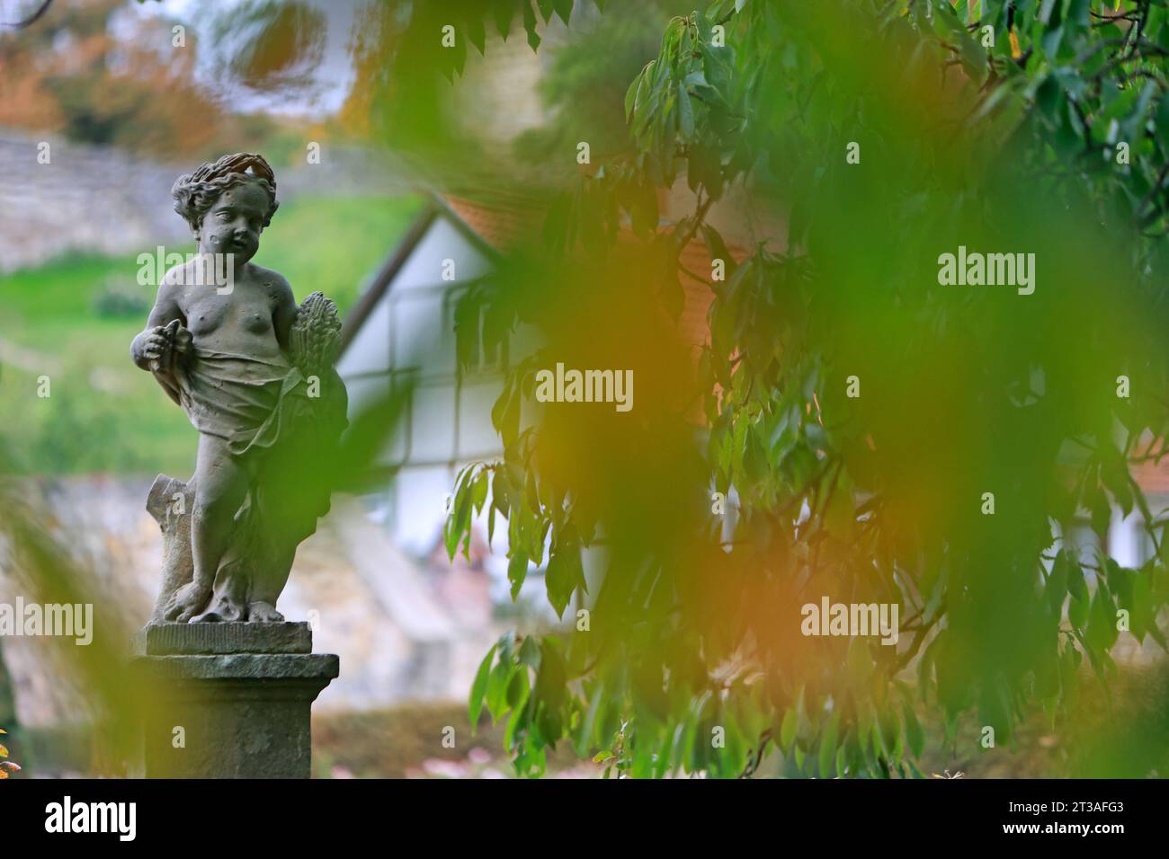 Blankenburg, Germany. 24th Oct, 2023. The first leaves have turned ...