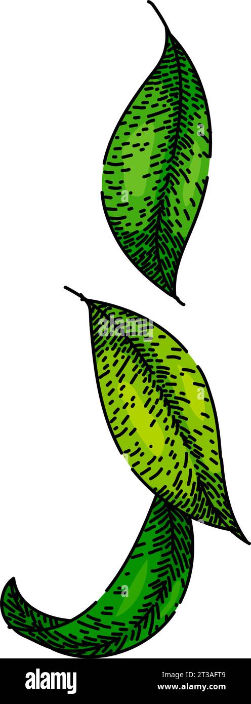 Spicy chicken curry top Stock Vector Images - Alamy