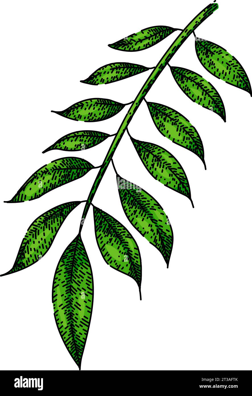 Butter chicken rice Stock Vector Images - Alamy