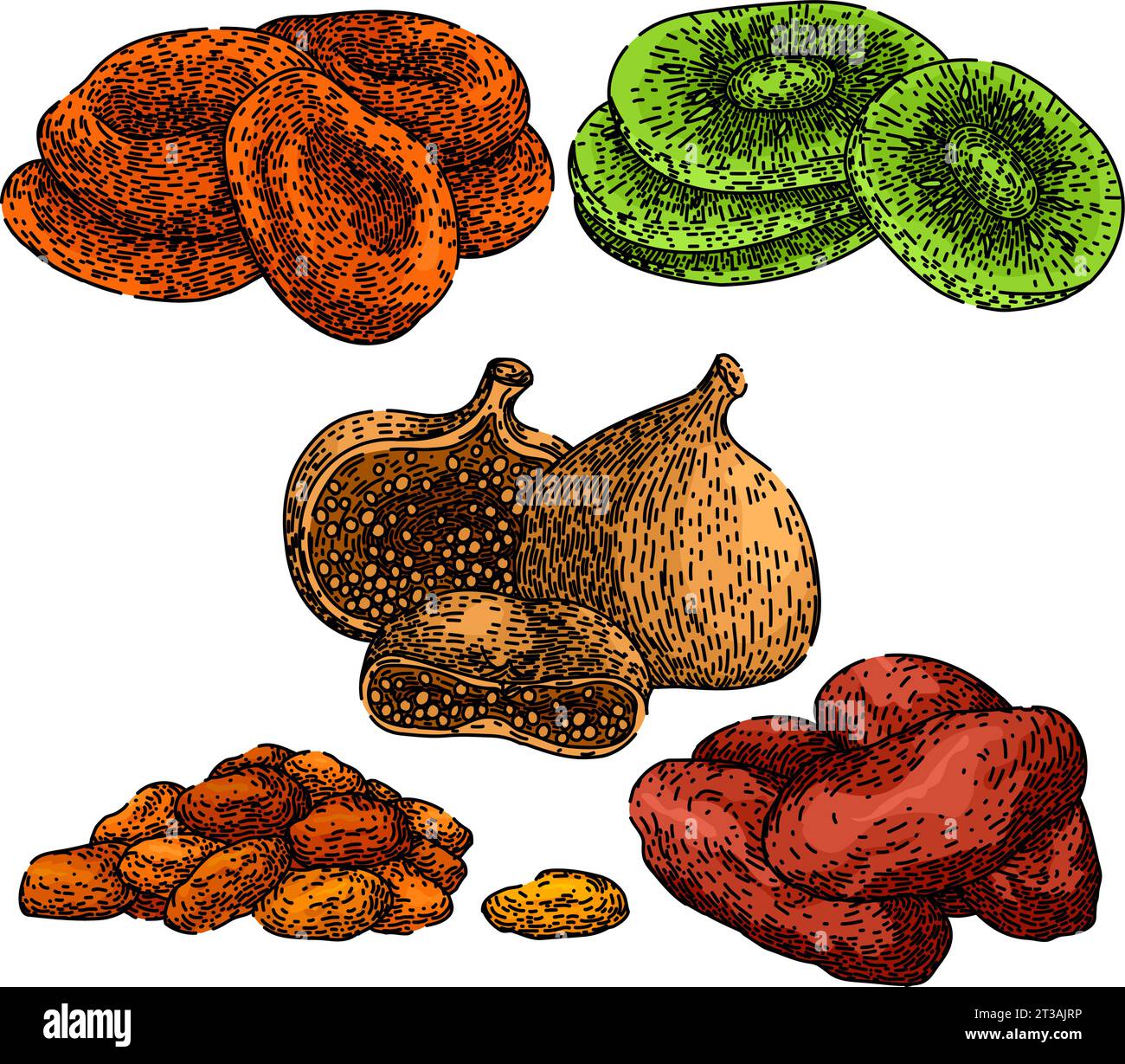 dried fruit set sketch hand drawn vector Stock Vector Image & Art - Alamy dried fruit set sketch hand drawn vector Stock Vector Image & Art - Alamy