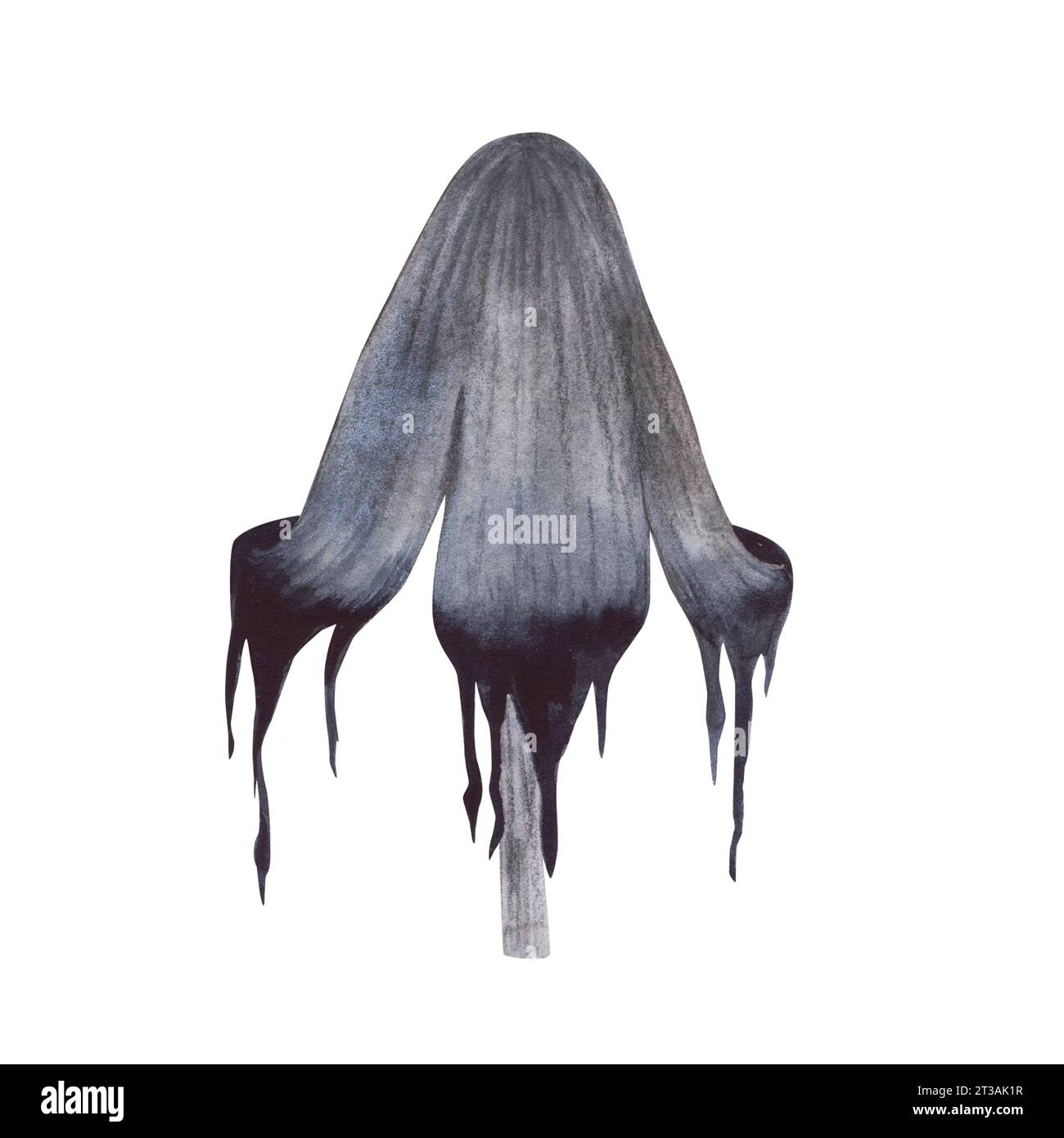 shaggy ink-cap with magical texture isolated on white background ...