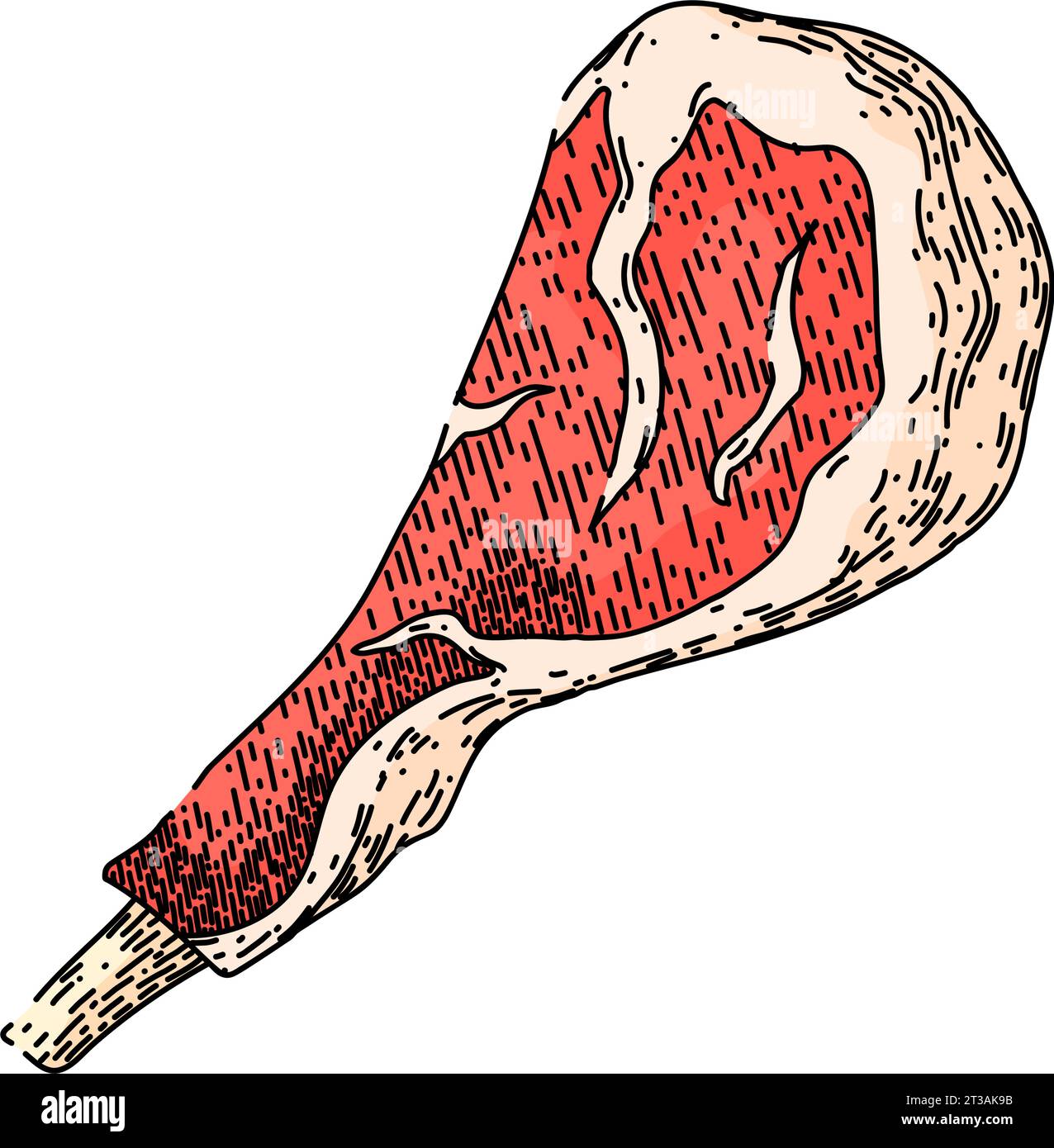 beef meat sketch hand drawn vector Stock Vector Image & Art - Alamy