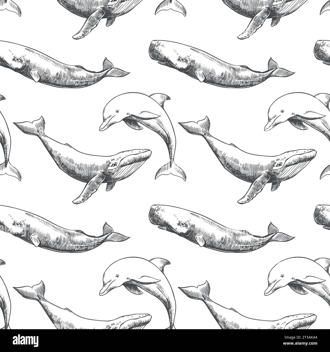 Vector seamless pattern with whales and sperm whales. Marine animals in ...