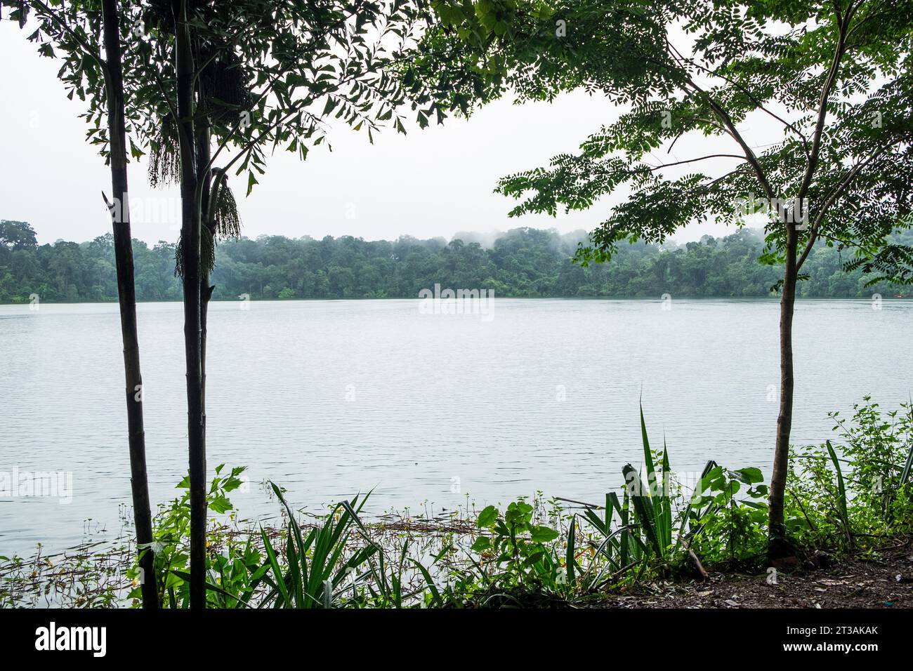 Yeak loam hi-res stock photography and images - Alamy