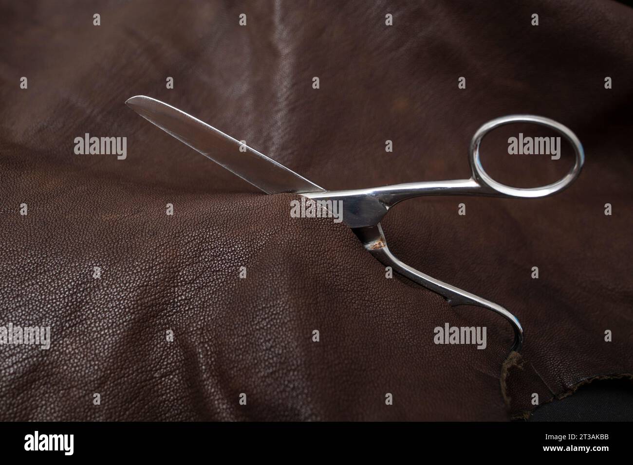 stainless steel scissors cutting trugh smooth brown leather, soft focus ...